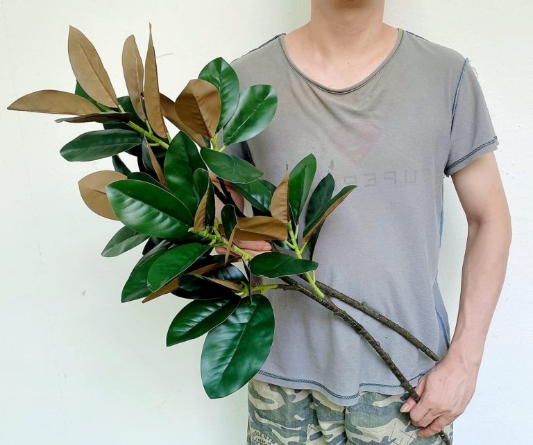 Vara Hojas de Magnolia - miscellaneousbycaff.com.ar